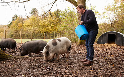 Workplace safety of farmers | Oakwood Solicitors Ltd - Leeds