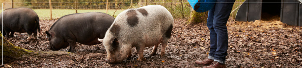 Workplace safety of farmers | Oakwood Solicitors Ltd - Leeds