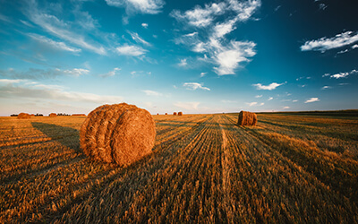 Farmer suffers serious injuries after being crushed by haybales