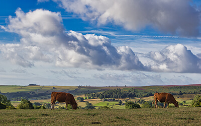 TV star shares details of ‘life-changing’ horror farm accident